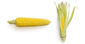 Corn: Nutrition Facts, Health Benefits, Side Effects