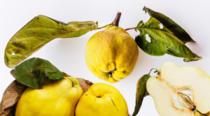 Quince: Nutrition Facts, Health Benefits, Side Effects