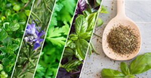 What Is in Mixed Herbs: Unveiling the Secrets of Common Herbs in Blends