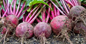 Beetroot Benefits for Men: Energy, Heart, and Performance
